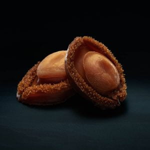 Australian Abalone | Everything You Need to Know