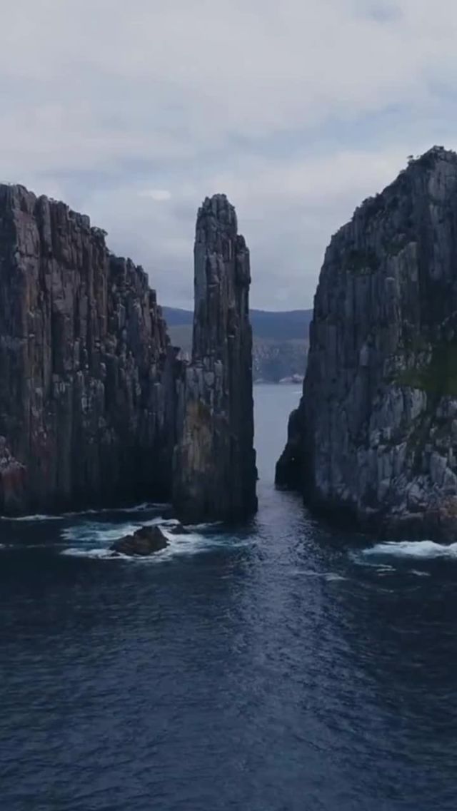 Wild Caught Australian Abalone | Dried Abalone | Candy Abalone